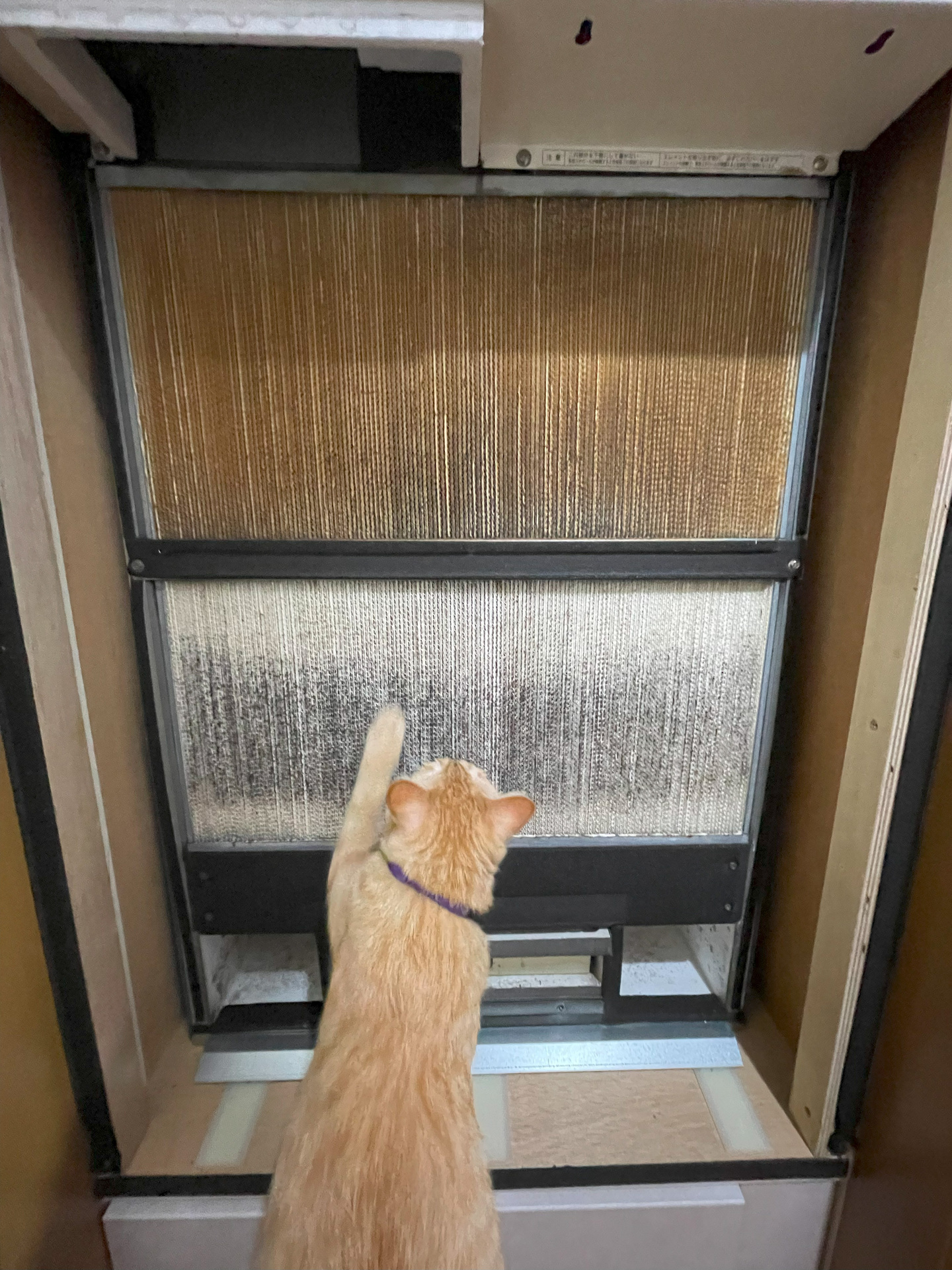 家を建てるということ